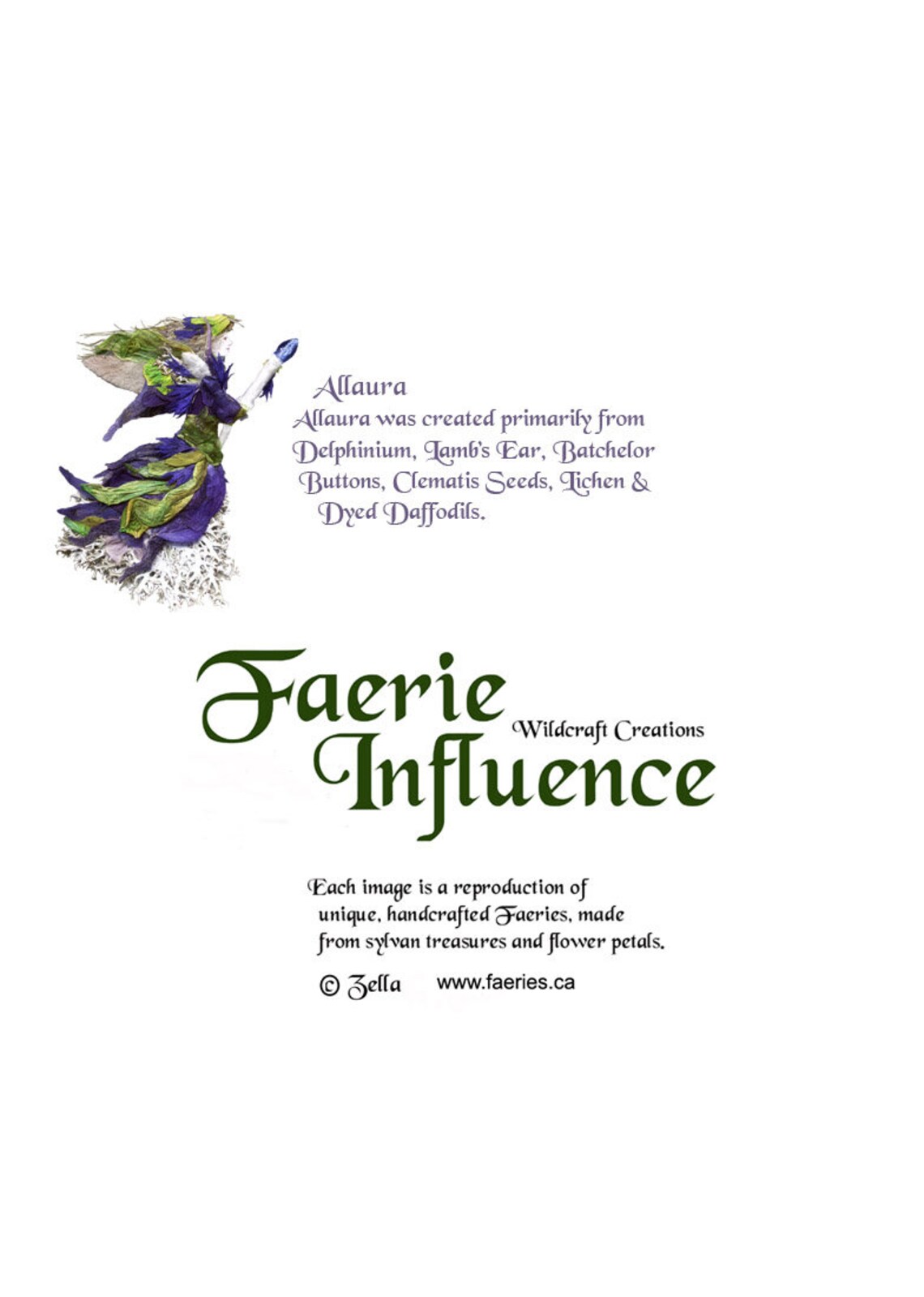 Faeries From Flowers, Art by Zella, 5X7 Fairy Note Cards With Envelopes ...