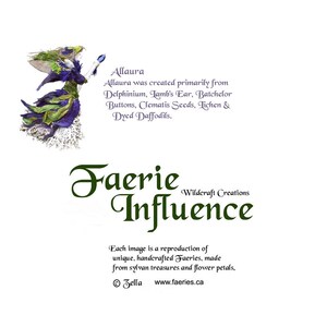 Faeries From Flowers, Art by Zella, 5X7 Fairy Note Cards With Envelopes ...