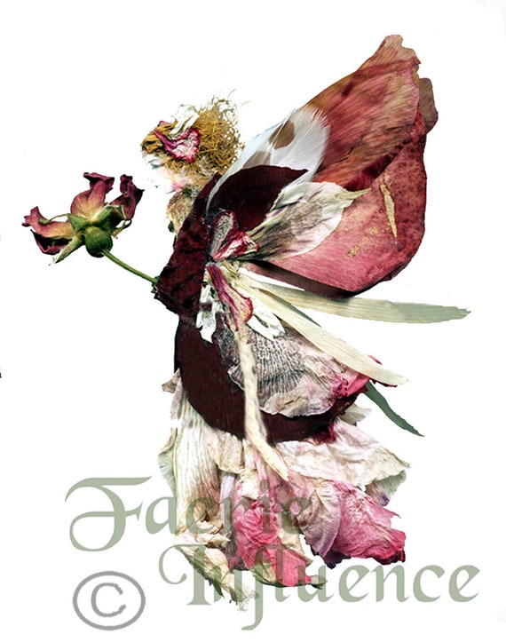 Faeries From Flowers Art by Zella 5X7 Fairy Note Cards With - Etsy