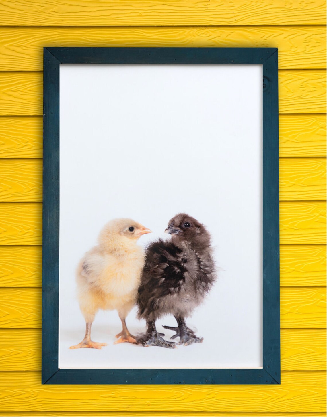 Baby Chicks Print Kids Wall Art Farm Yard Animal Nursery - Etsy