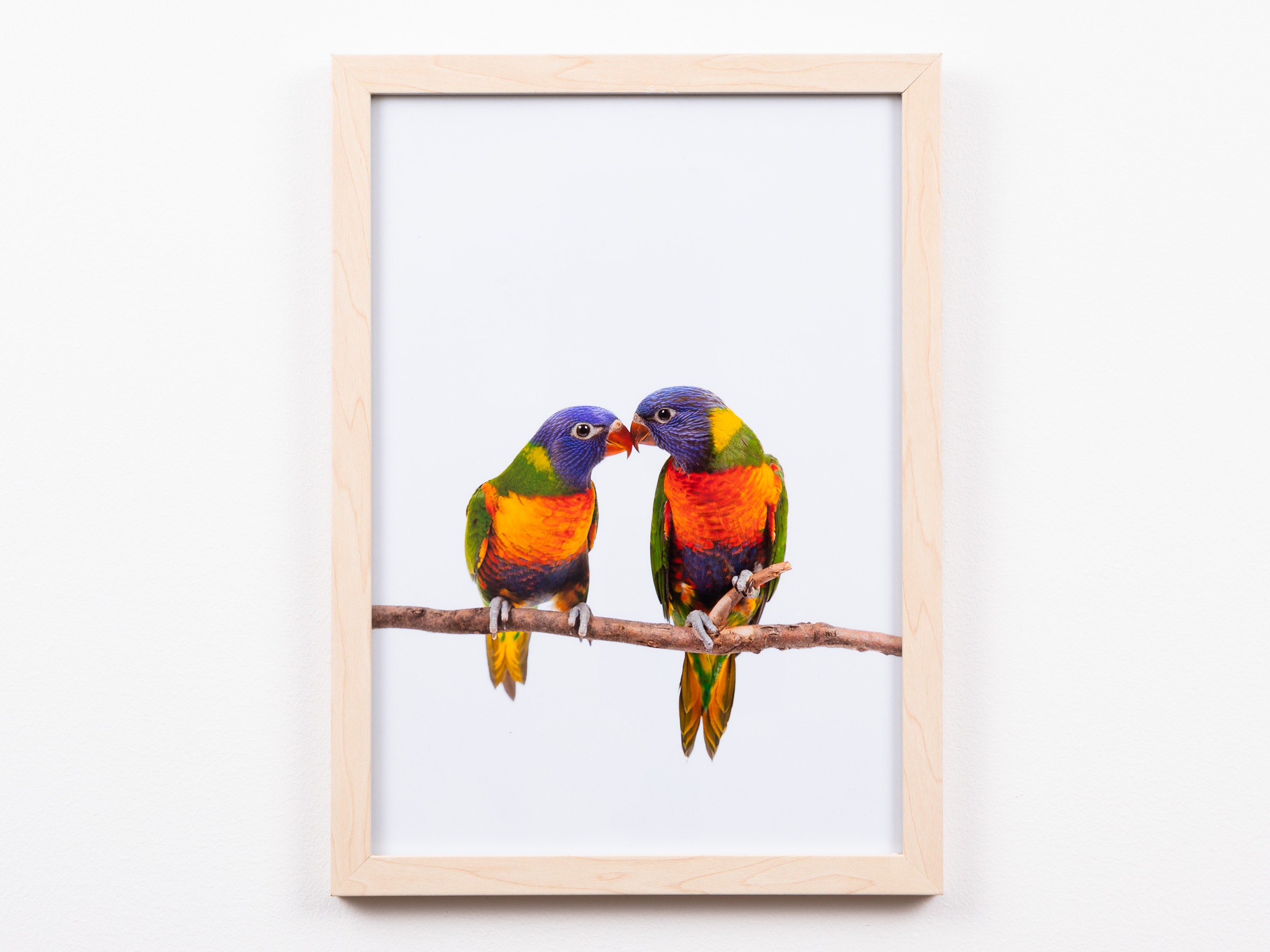 Rainbow Lorikeet Print, Australian Bird, Bird Print, Kids Wall Art ...