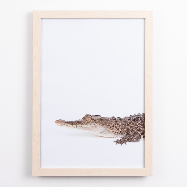 Crocodile Print - Etsy