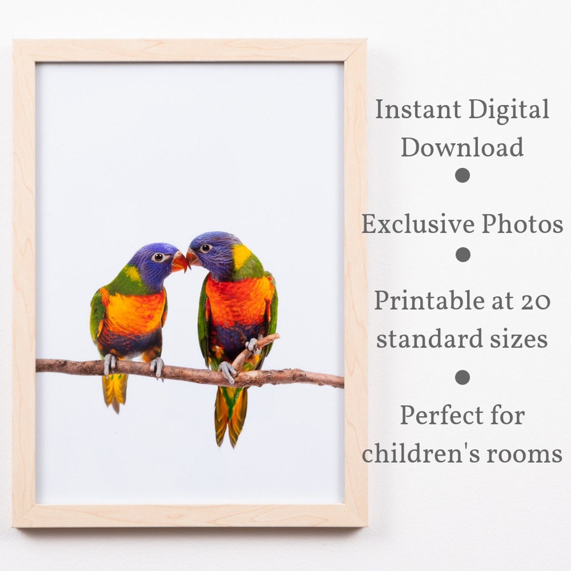 Rainbow Lorikeet Print Australian Bird Bird Print Kids Wall - Etsy ...