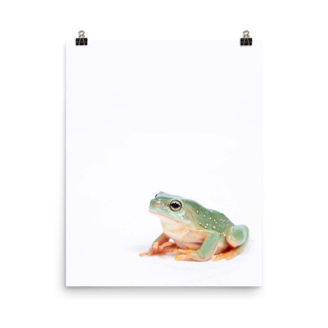 Green Frog Print, Kids Wall Art, Nursery Art, Printed and Shipped, Kids ...