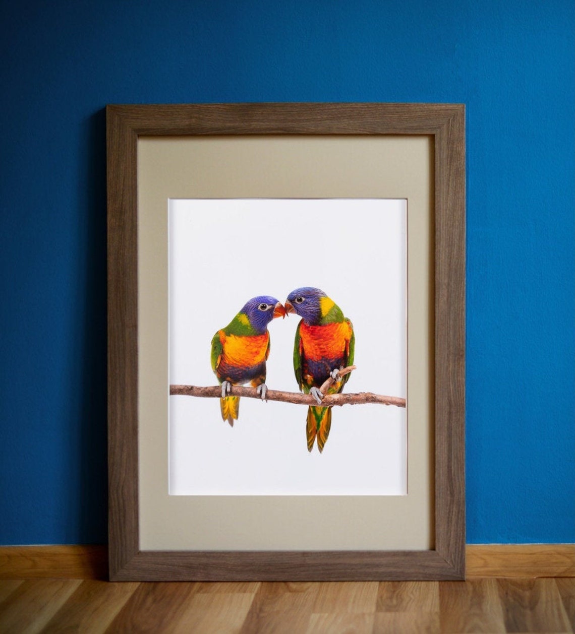 Rainbow Lorikeet Print Australian Bird Bird Print Kids Wall - Etsy ...