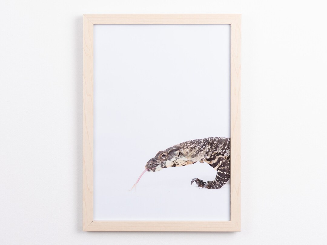 Kids Lizard Print, Reptile, Kids Room Decor, Digital Print, Animal ...