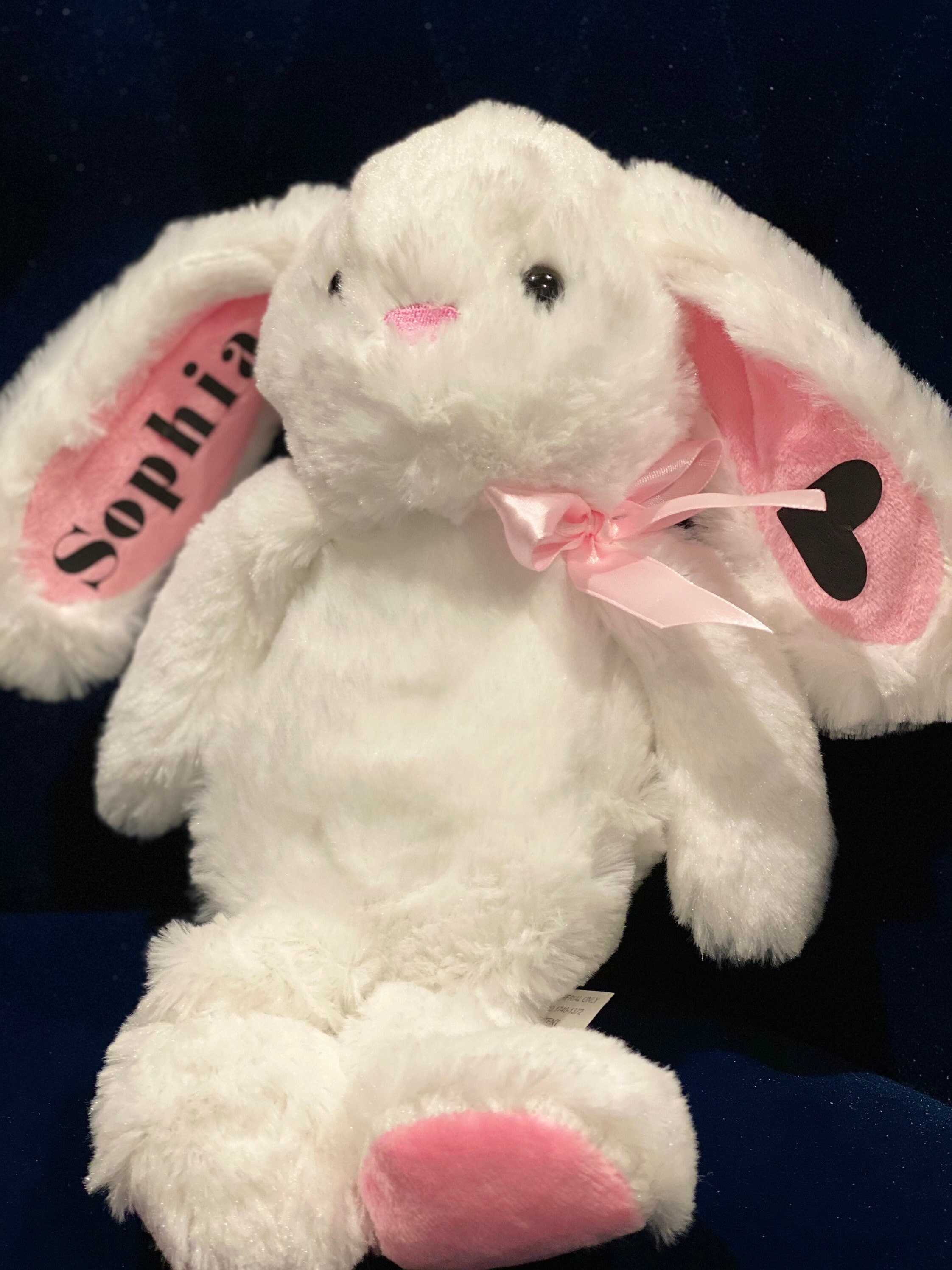 Personalized Bunny, Customized Baby Gift, Baby First Bunny, Child ...