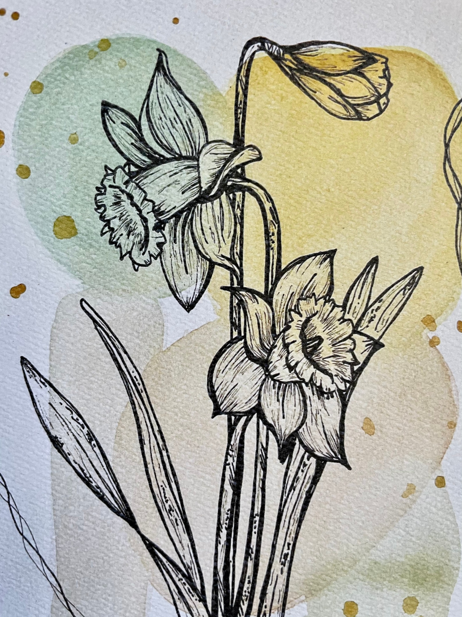 March Birth Month Flower Watercolor PRINT daffodil 5x7 | Etsy