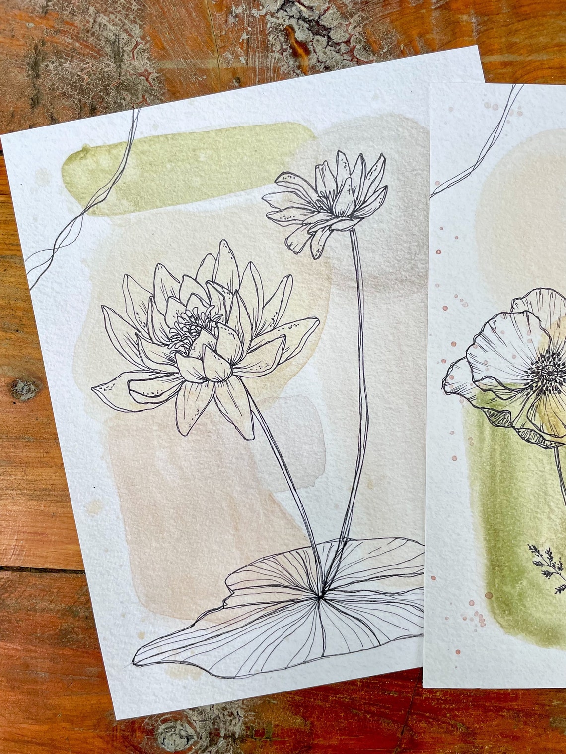 July Birth Month Flower Watercolor Print-water Lily 5x7 - Etsy