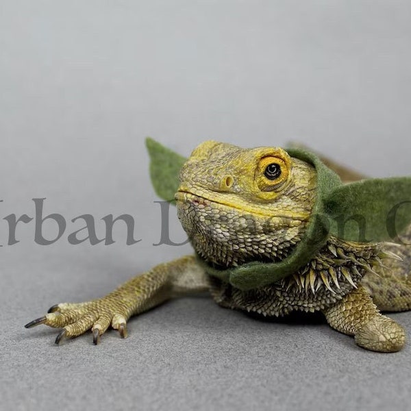 Dragon Costume - Etsy