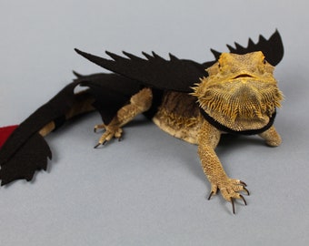 Lizard Costume | Etsy