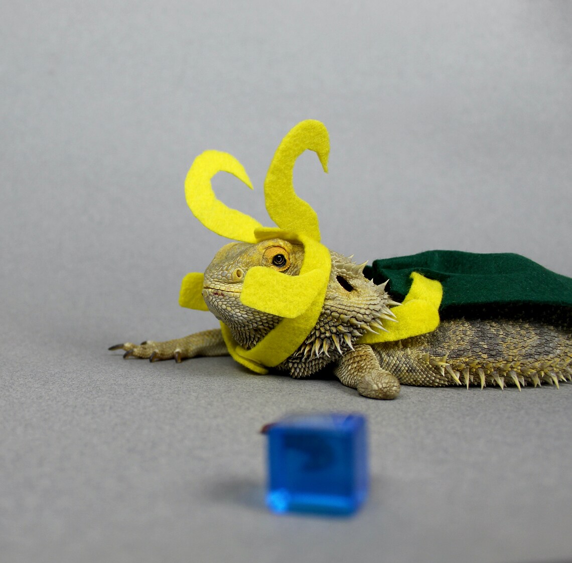 Loki Bearded Dragon/lizard Costume - Etsy
