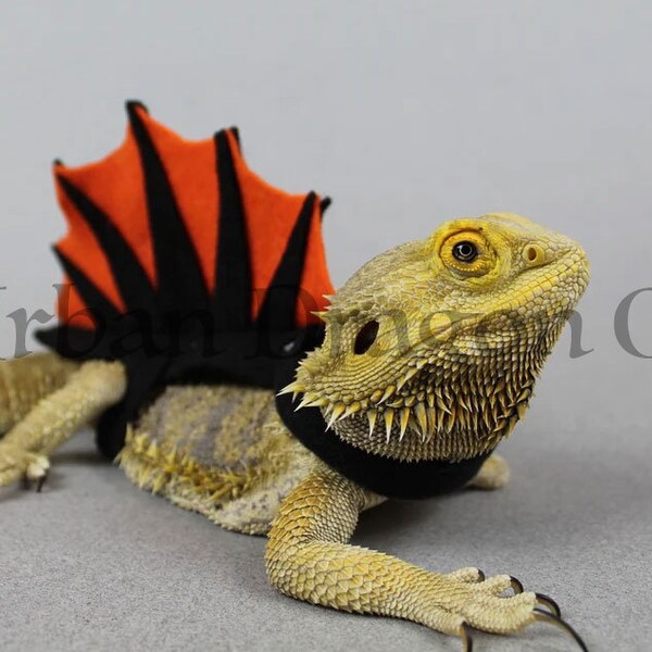 Lizard Costume - Etsy