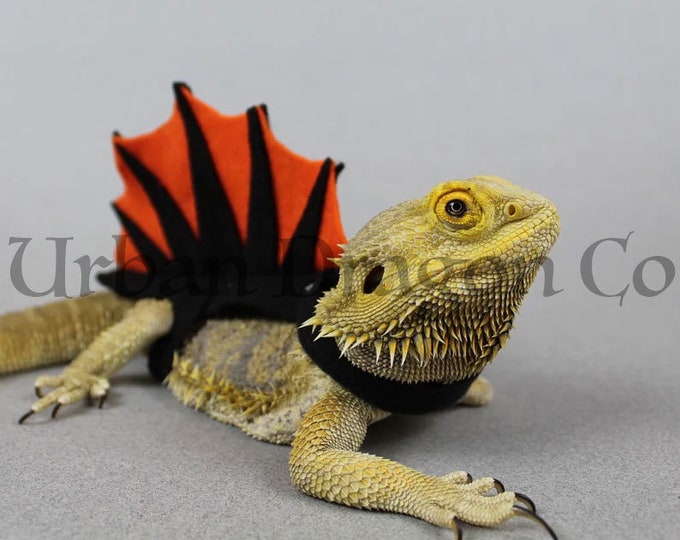 Spooky-saurus Bearded Dragon/lizard Costume - Etsy