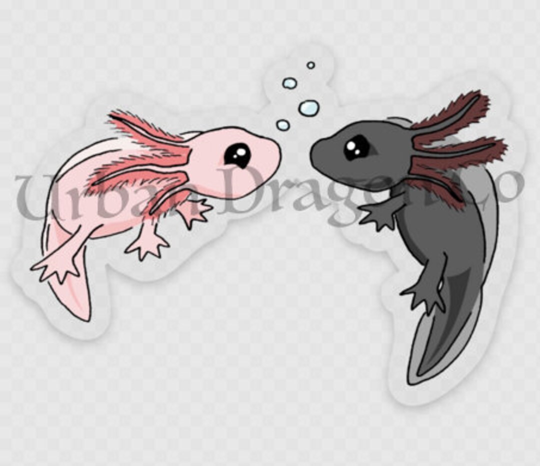 Axolotls Clear Vinyl Sticker - Etsy