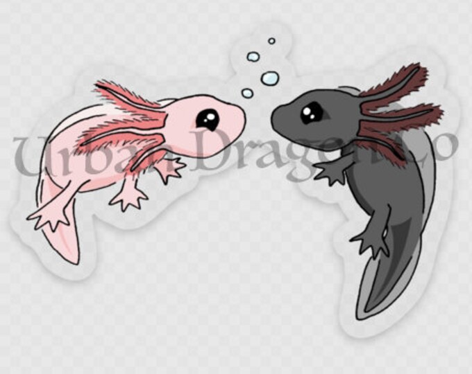 Axolotls Clear Vinyl Sticker - Etsy