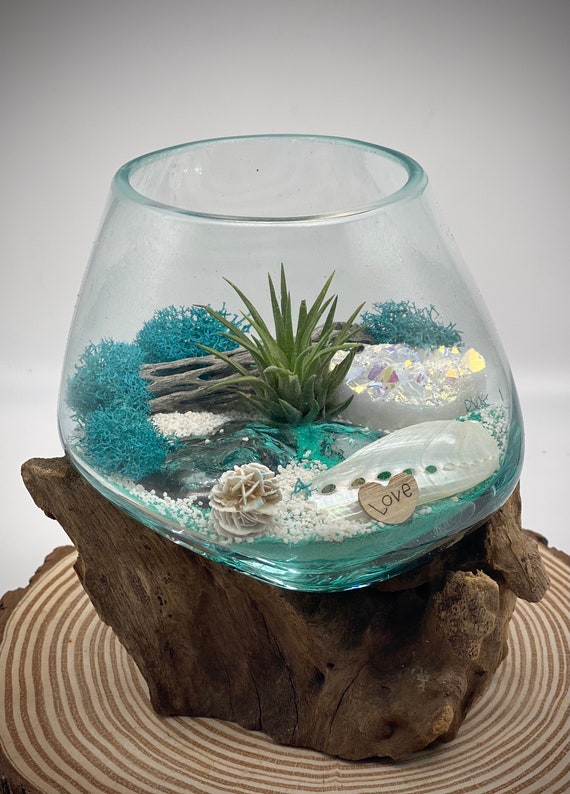 Hand-blown Glass Air Plant Terrarium With Angel Aura Crystal Perfect ...
