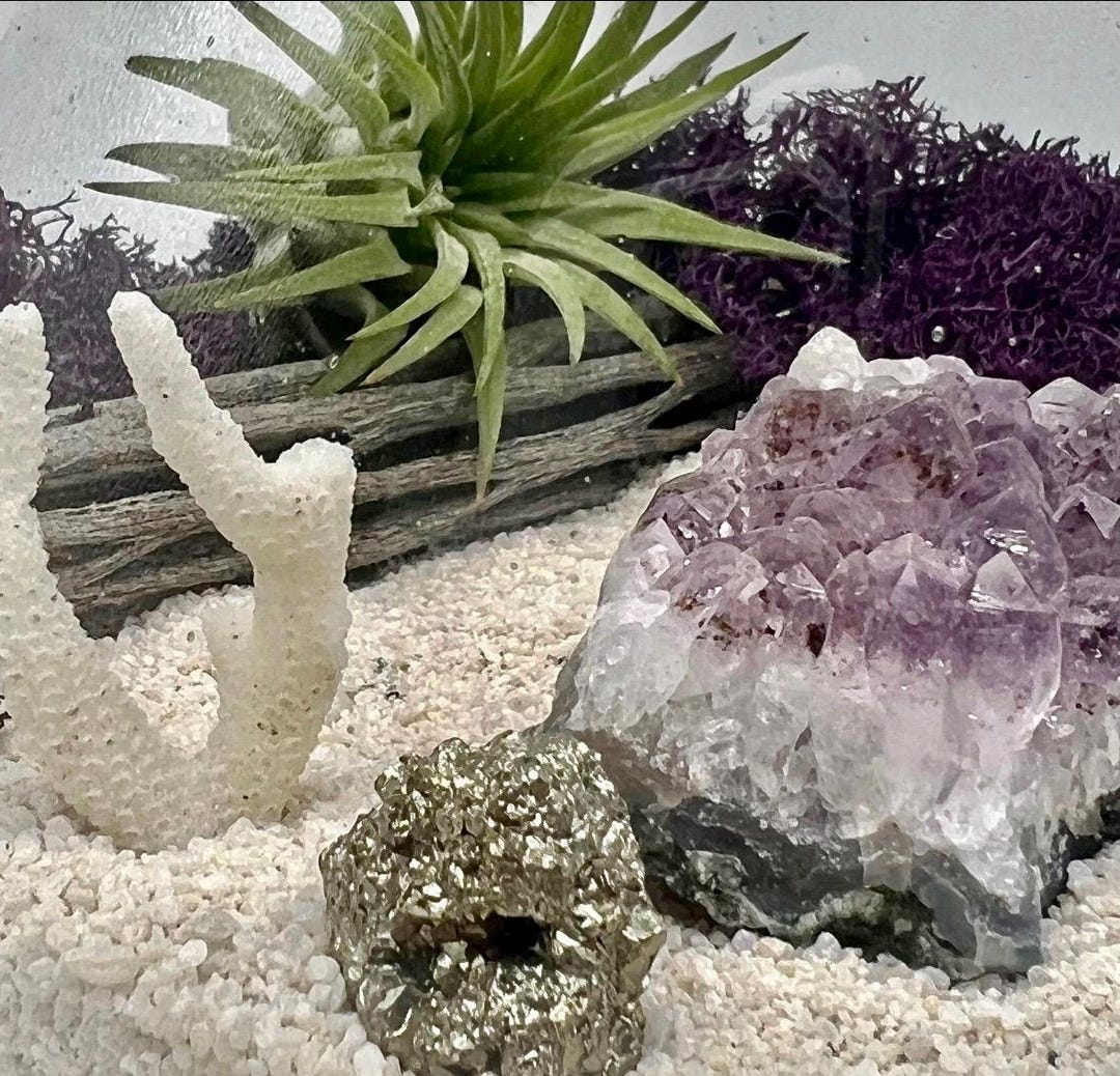 Amethyst Crystal Air Plant DIY Kit ONLY for 5x5 Inch Bowls - Terrarium ...