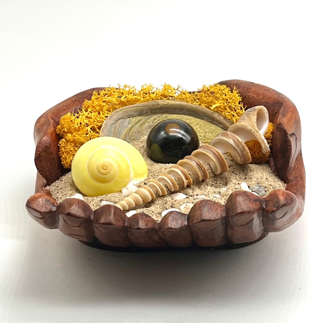 Hand-carved Wood Bowl Set – Tiger Eye Sphere, Shells, Moss Centerpiece ...