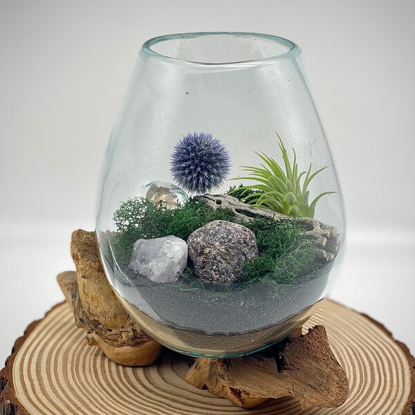 Large Glass Terrarium - Etsy