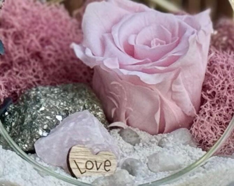 Pink Preserved Rose Hanging Terrarium Kit, Gold Pyrite Stone - Etsy