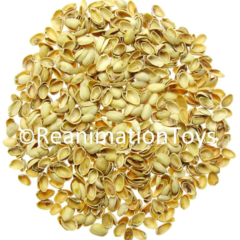 Pistachio Shells Art - Etsy