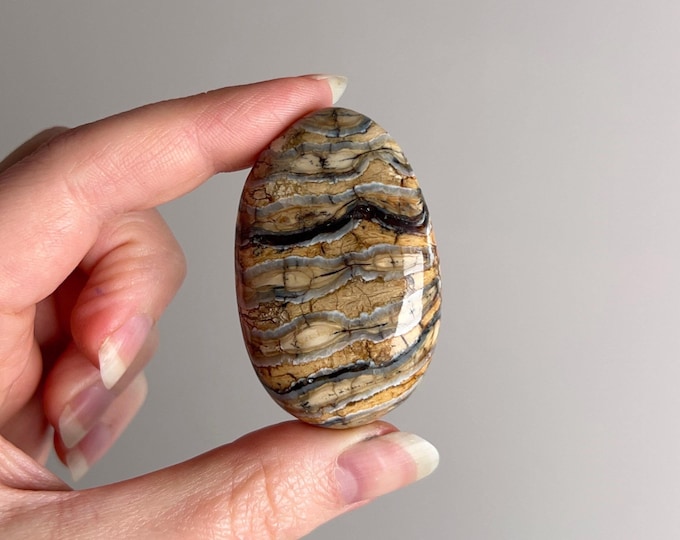 Rare Mammoth Molar Palm | Real Polished Wooly Mammoth Molar Tooth - Etsy