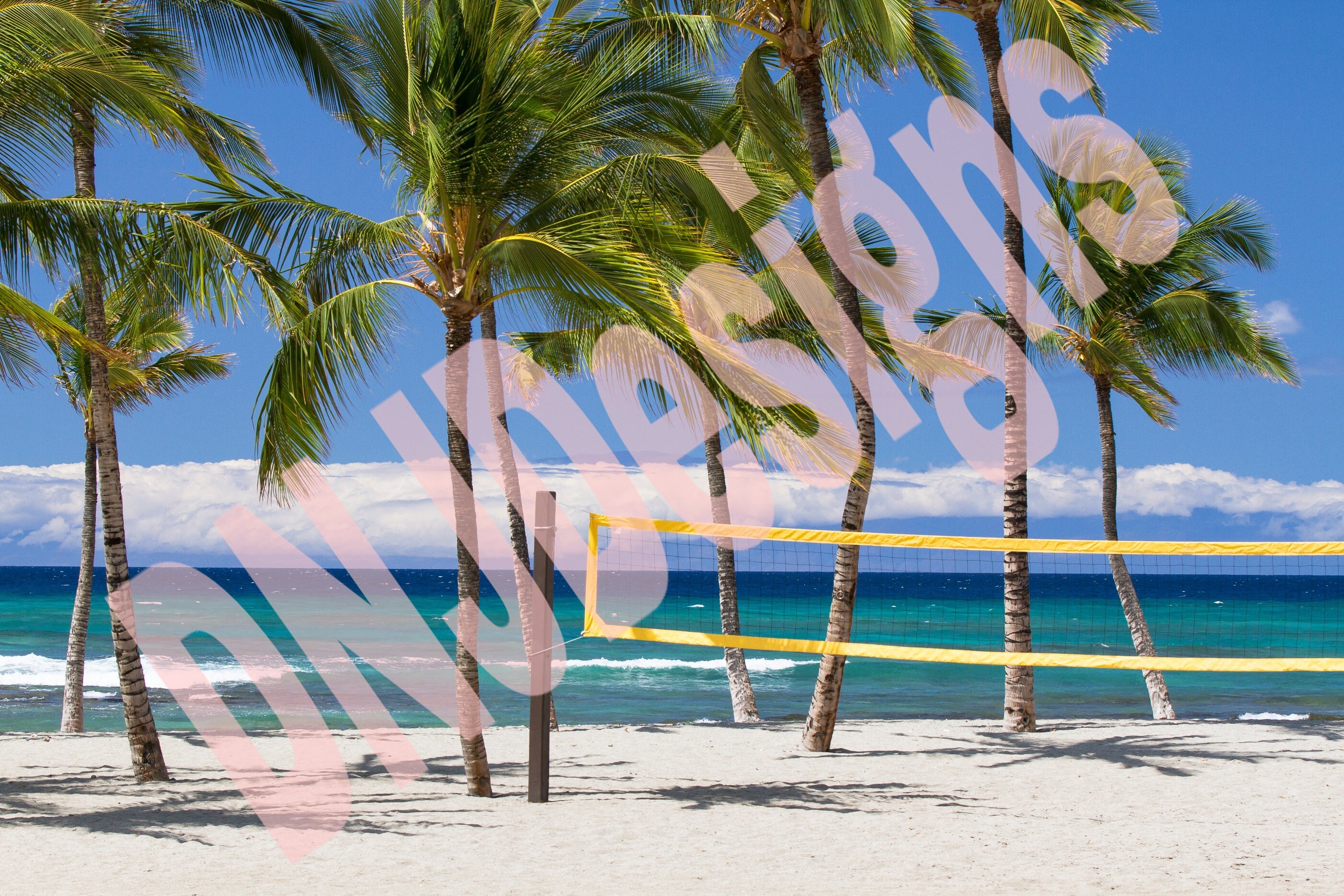 Beach Zoom Virtual Background - Etsy