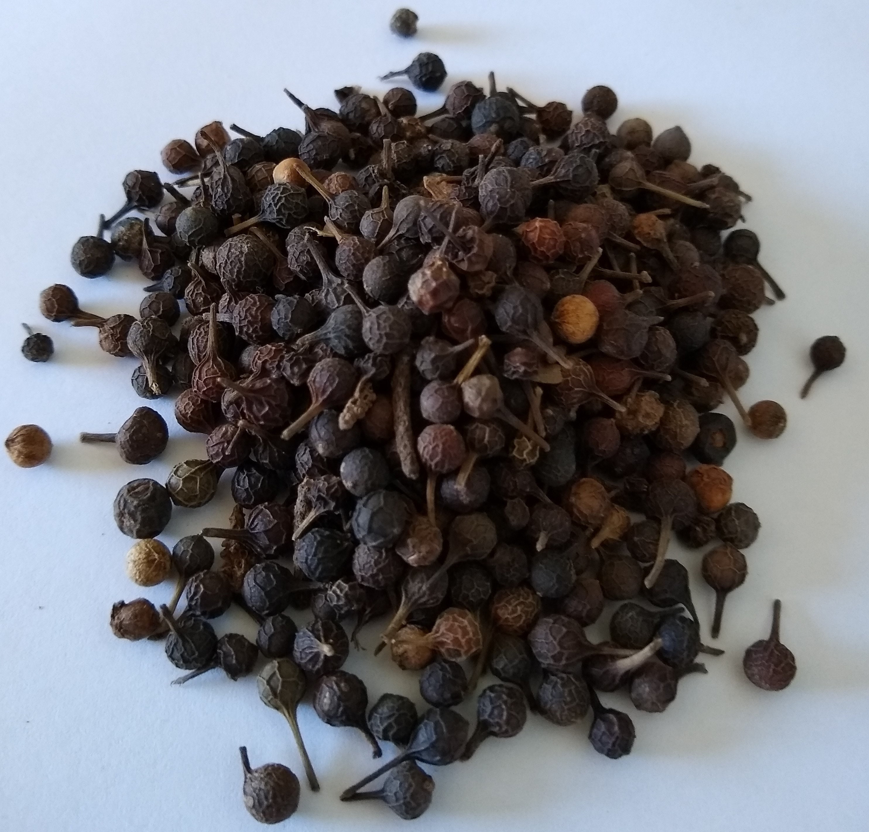 Bayas de pimienta cubeba, pimienta java entera Indonesia, bolsa resellable de 1 oz 16 oz - Etsy ...