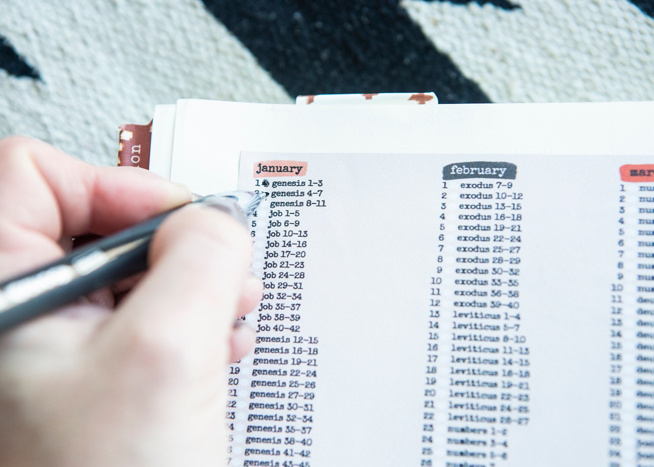 Chronological One Year Bible Reading Plan Vinyl Checklist STICKER for ...