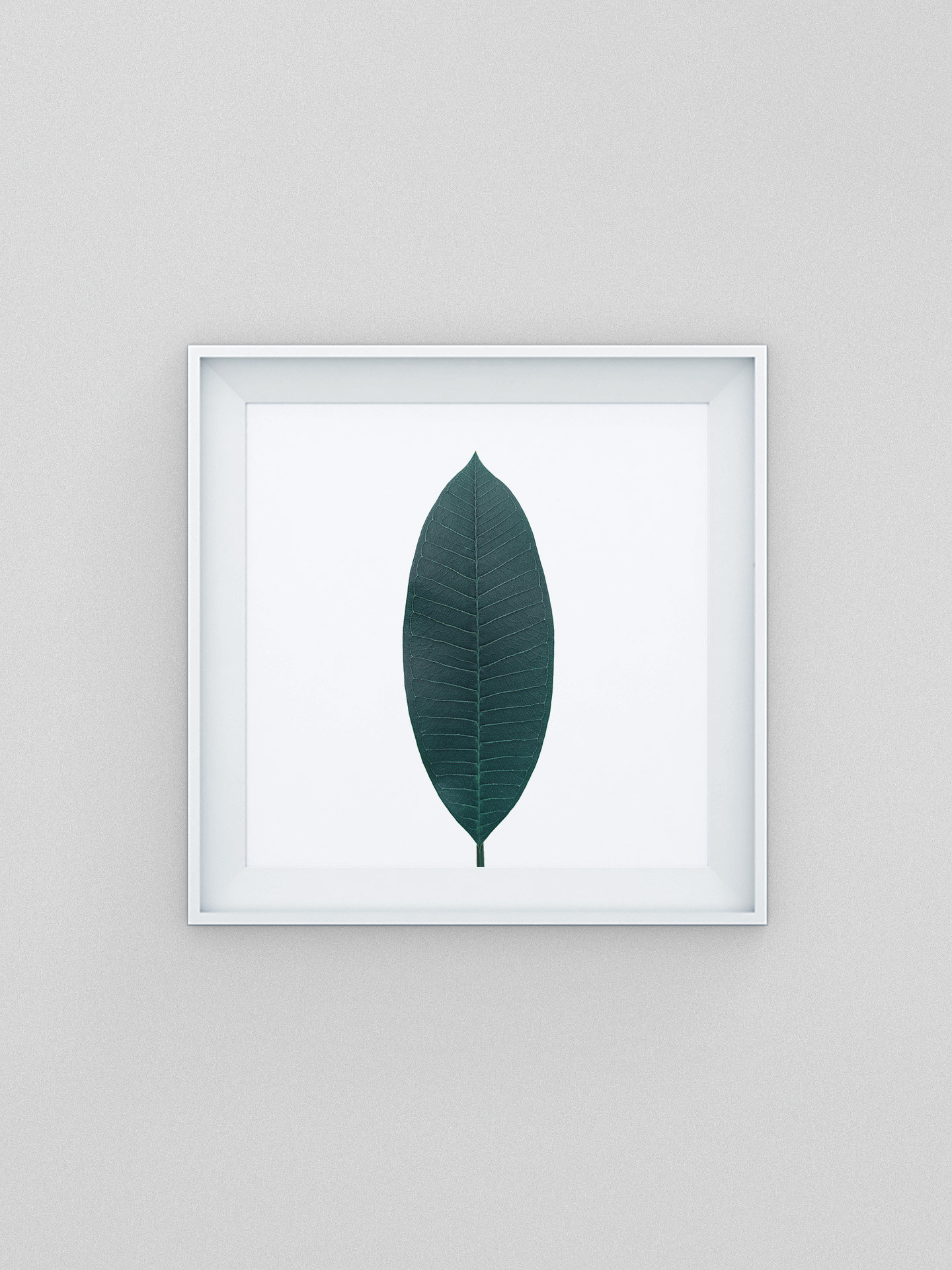 Frangipani Leaf Wall Art Botanical Print Wall Decor - Etsy
