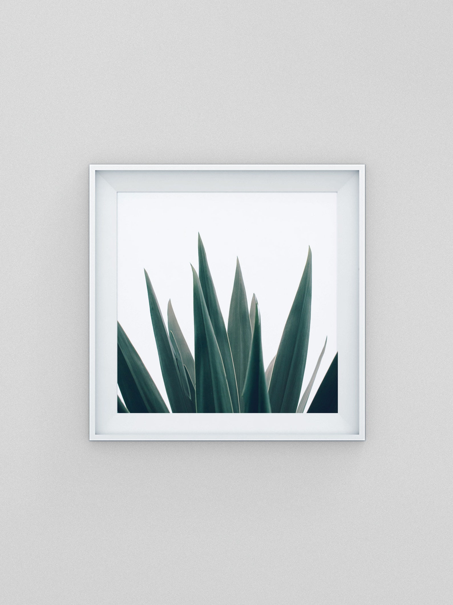 Succulent Wall Art, Botanical Print, Wall Decor, Minimalist Print ...