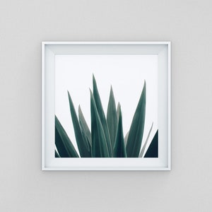 Succulent Wall Art, Botanical Print, Wall Decor, Minimalist Print ...