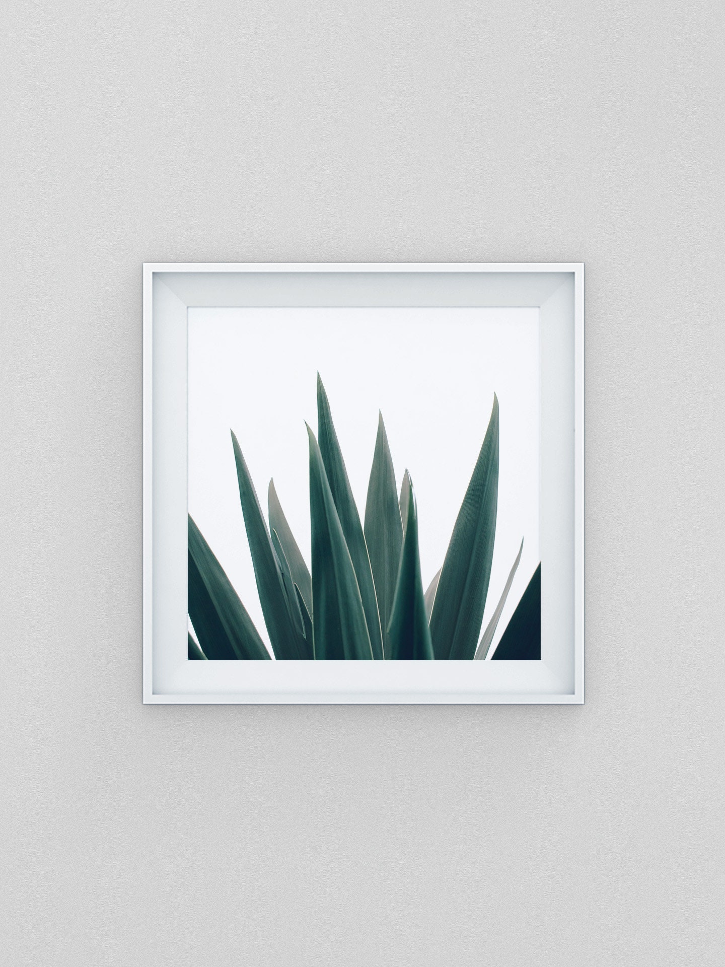 Succulent Wall Art, Botanical Print, Wall Decor, Minimalist Print ...