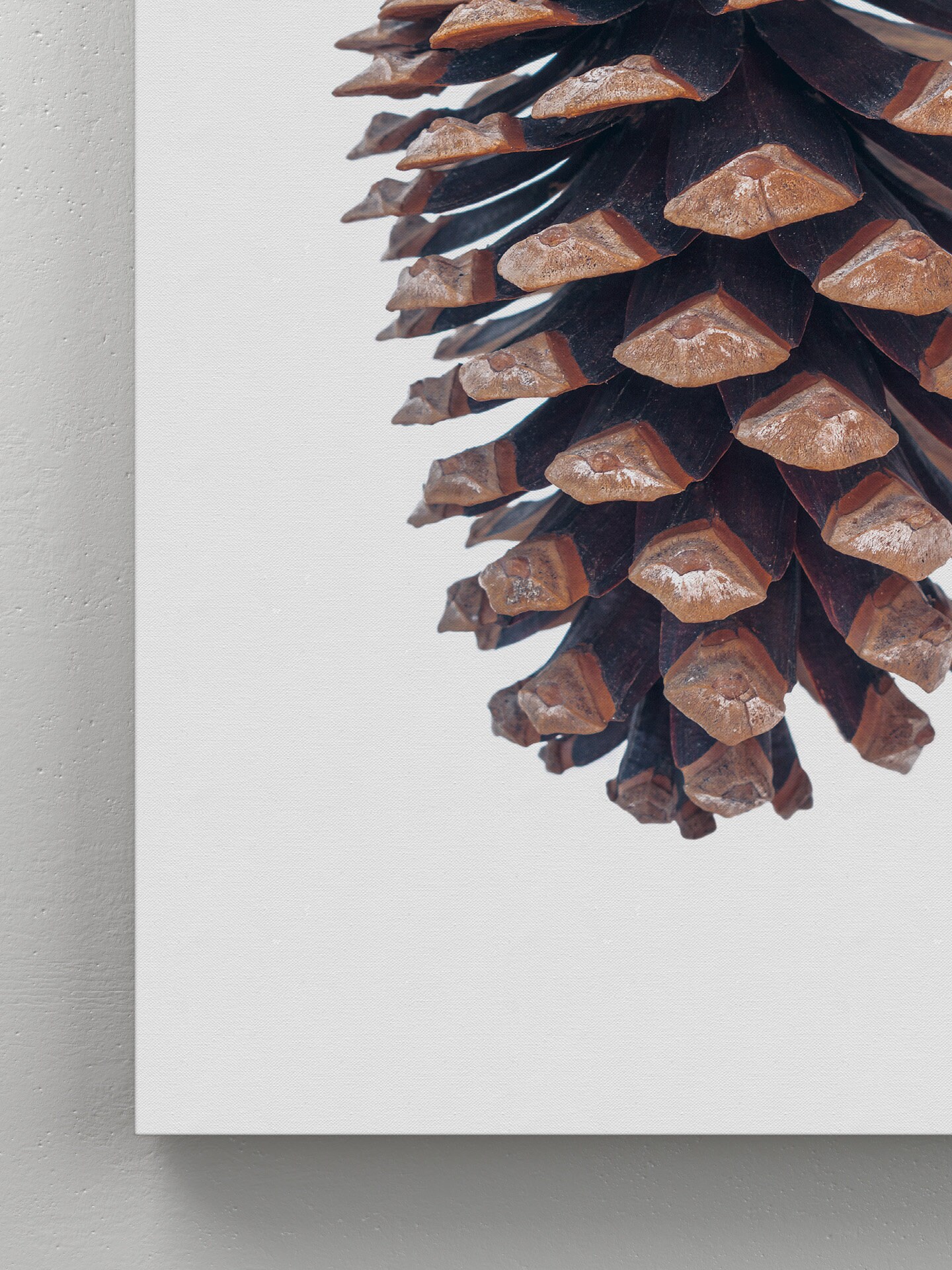 Pine Cone Wall Art, Botanical Print, Wall Decor, Minimalist Print, Xmas ...