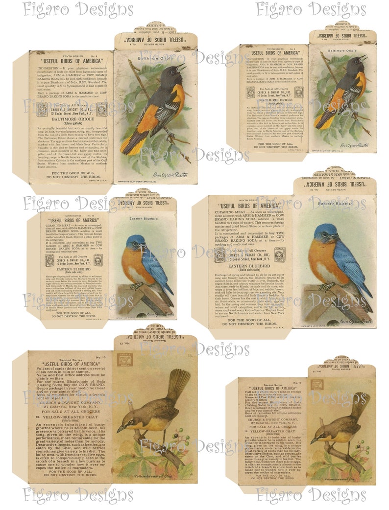 Vintage Bird Envelope Pockets Digital Ephemera Printable | Etsy