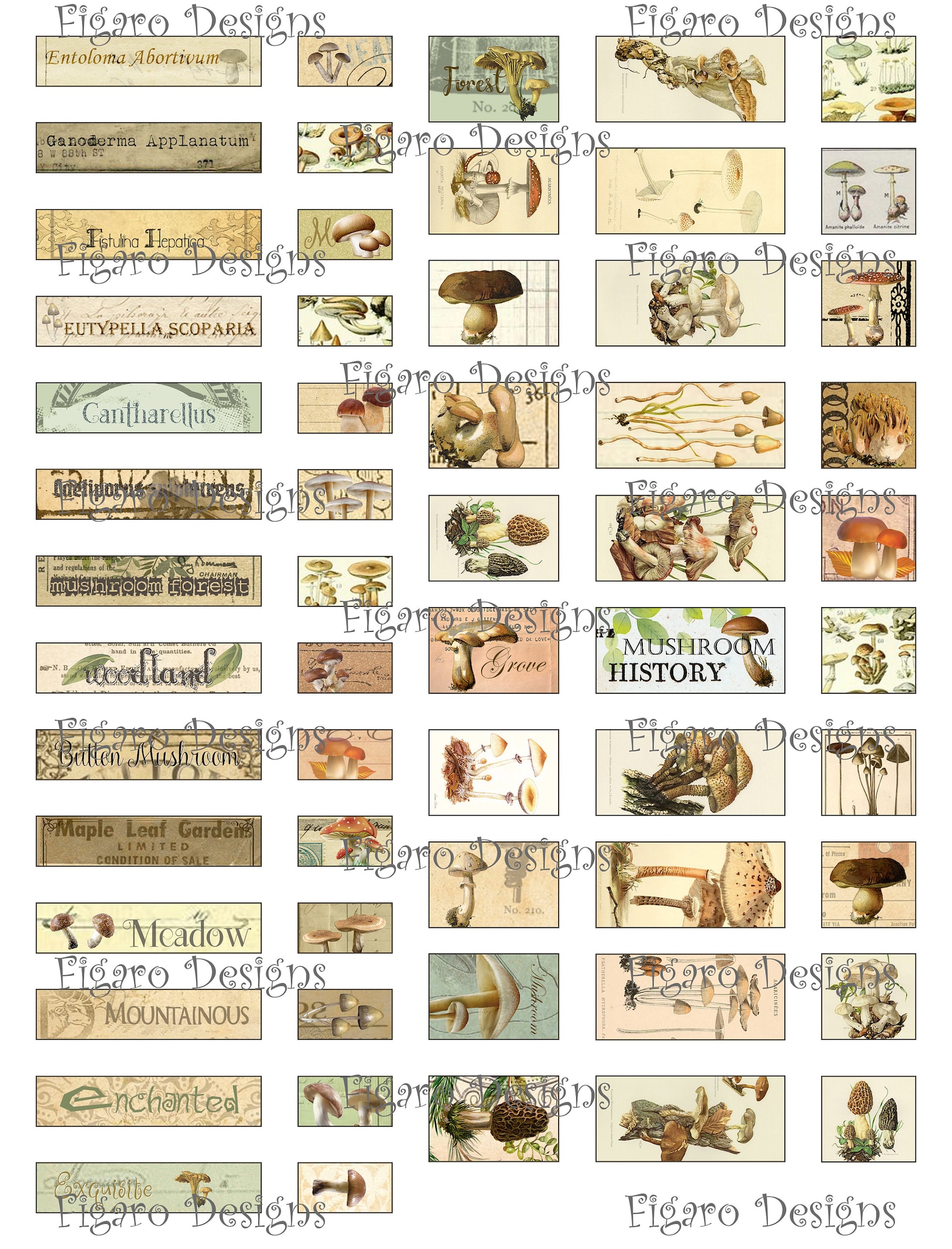 Mushroom Label Embellishments, Digital Ephemera, Printable Junk Journal ...