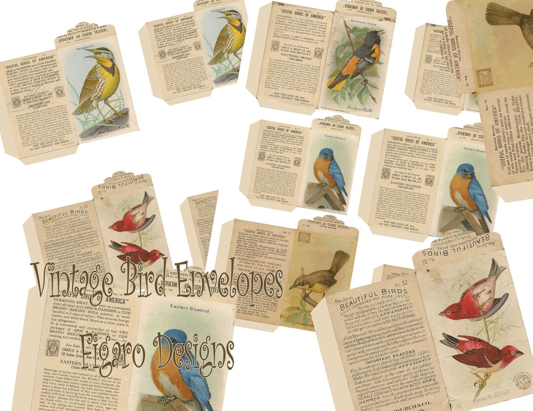 Vintage Bird Envelope Pockets - Digital Ephemera, Printable Junk ...