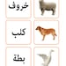 Arabic Farm Animals Cards - Etsy