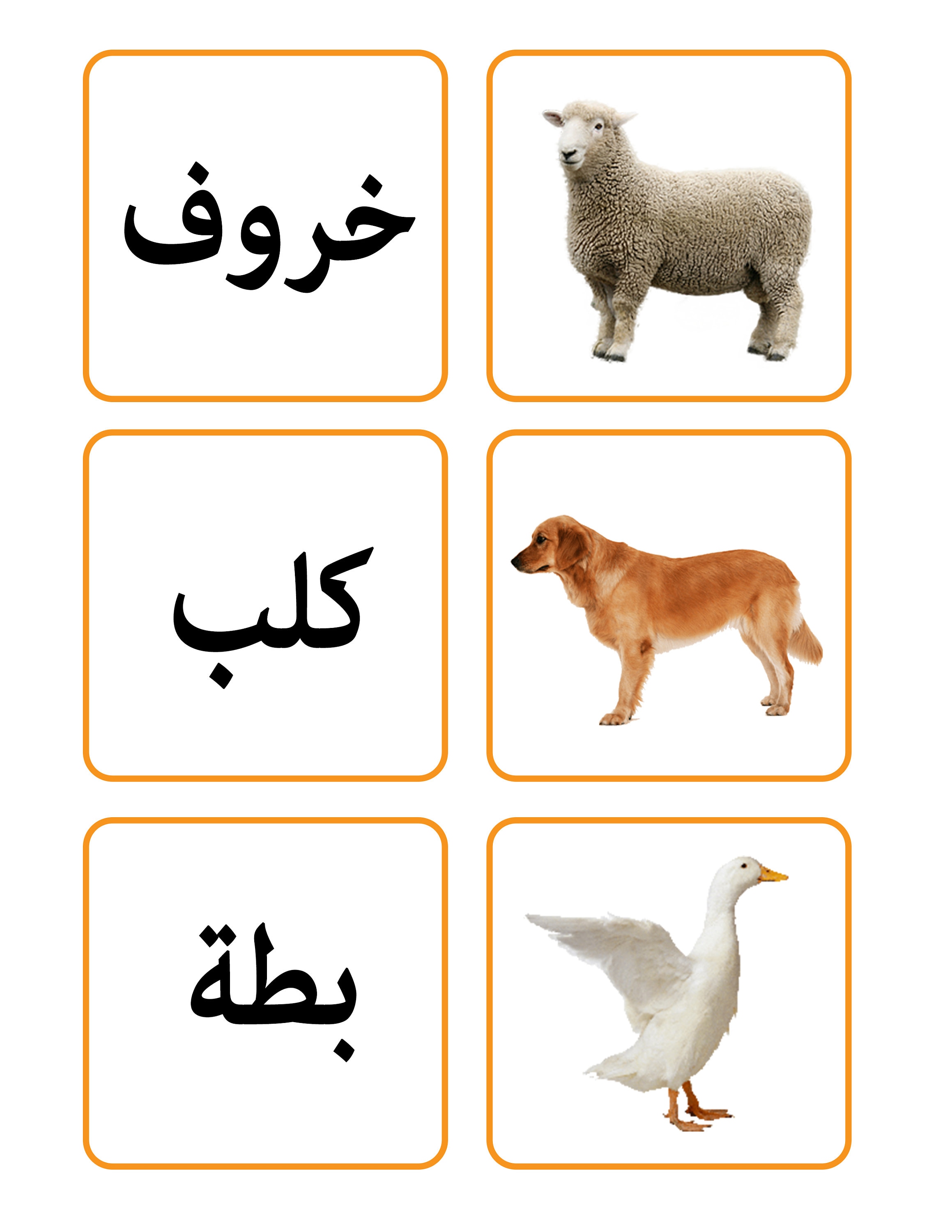 Arabic Farm Animals Cards - Etsy