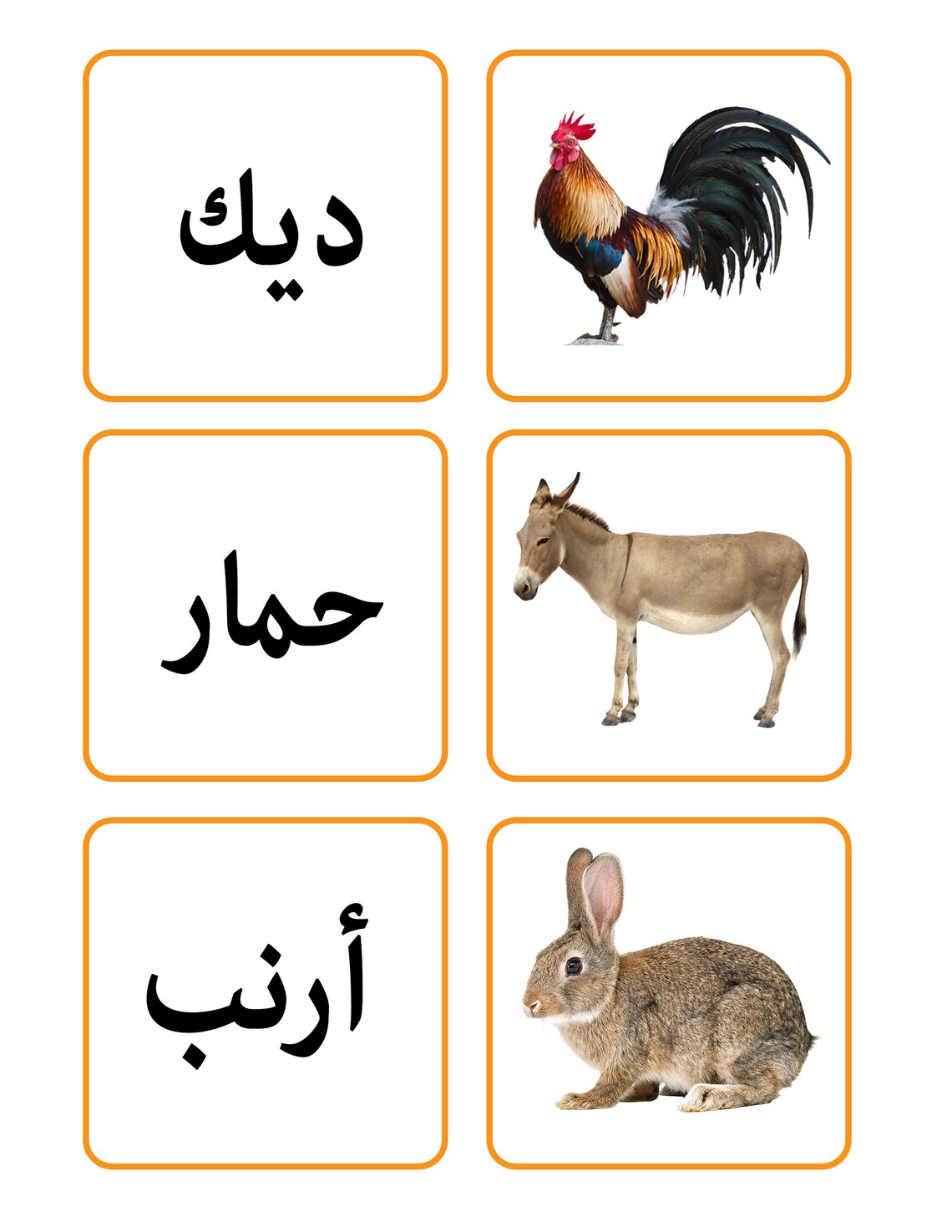 Arabic Farm Animals Cards - Etsy
