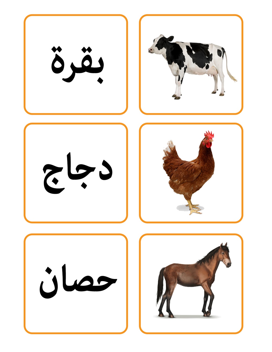 Arabic Farm Animals Cards - Etsy