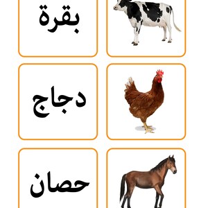 Arabic Farm Animals Cards - Etsy