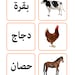 Arabic Farm Animals Cards - Etsy