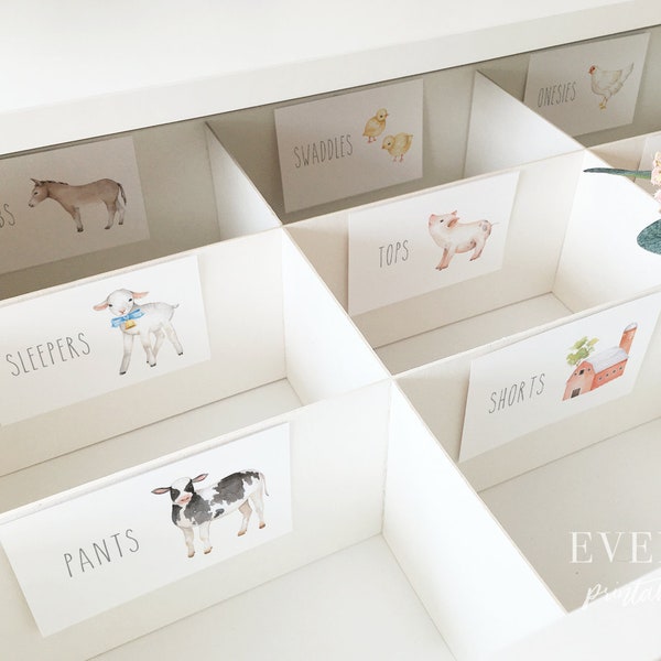 Closet Organizer - Etsy