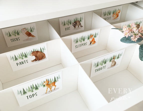 PDF Template EDITABLE Drawer Labels Nursery Decor Woodland Baby Labels ...