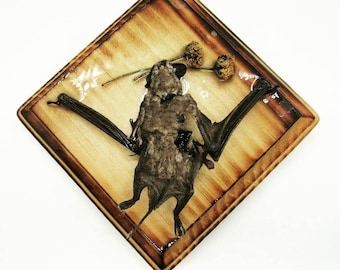 Taxidermy bat | Etsy
