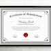 Customizable Certificate Template: Elegant Achievement Award (canva ...