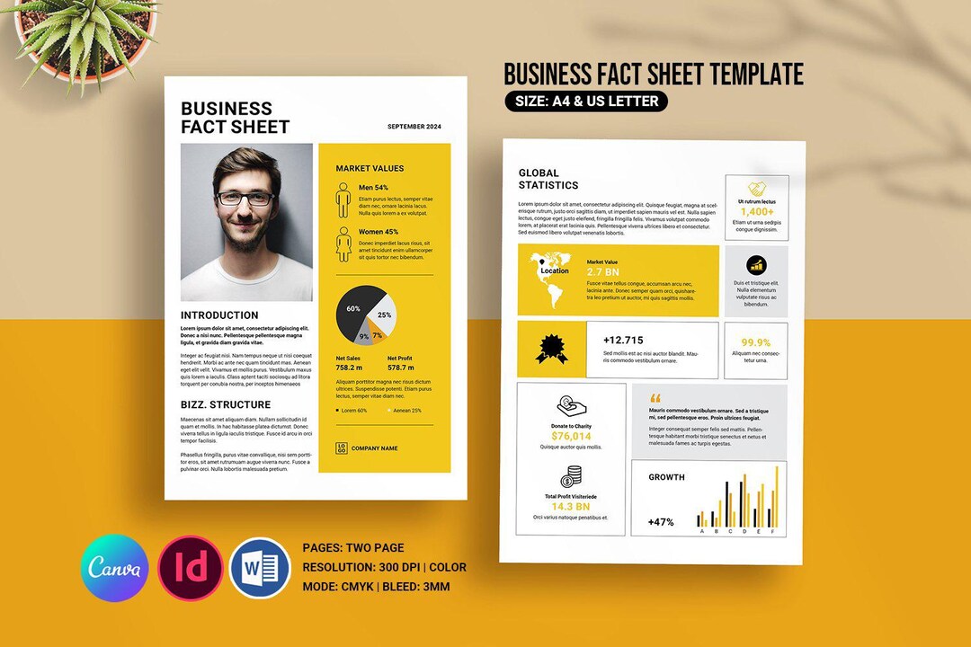 Business Fact Sheet Template: Editable Company Overview (A4 & US Letter ...