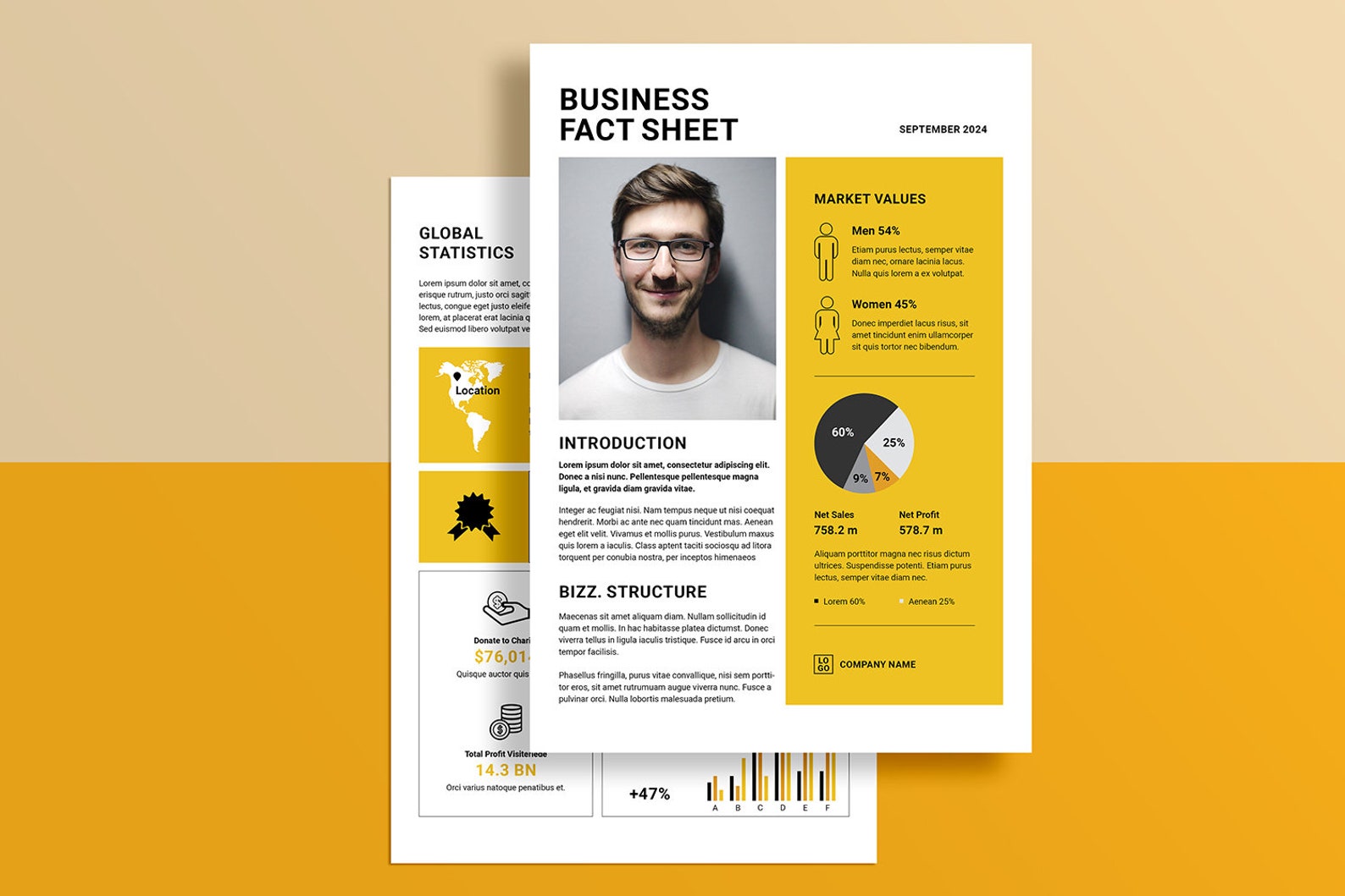 Business Fact Sheet Template: Editable Company Overview (A4 & US Letter ...